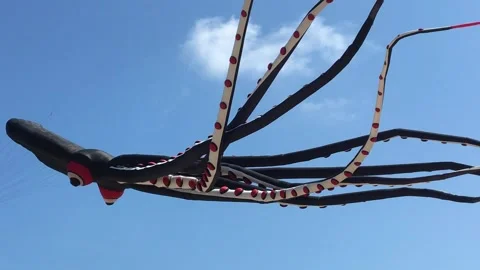 Giant Squid flying in the sky above beac... | Stock Video | Pond5