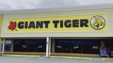 GIANT TIGER store front. Also known as T... | Stock Video | Pond5