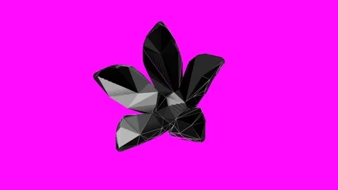 Gif animation art. 3d black flower on pi... | Stock Video | Pond5