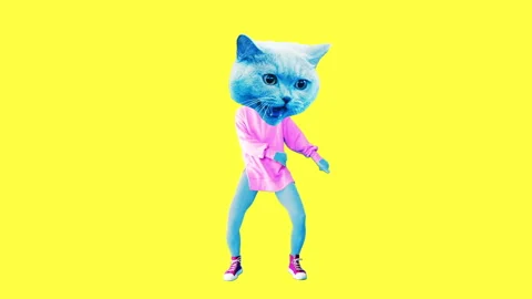 Gif animation art. Funny dancing Cat | Stock Video | Pond5