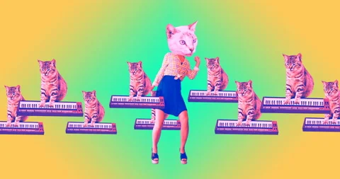 Gif animation minimal art. Kitties are h... | Stock Video | Pond5