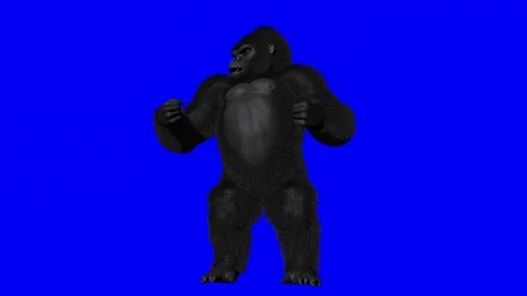 Gigantic monster ape (Blue Screen Animat... | Stock Video | Pond5