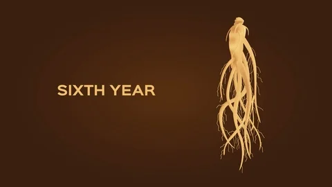 ginseng growth graphic animation | Stock Video | Pond5