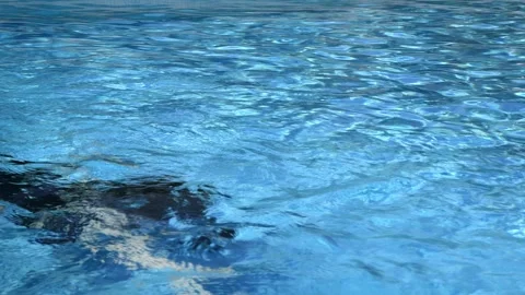 Young Girl Swim Stock Videos – Royalty-Free HD & 4K Videos