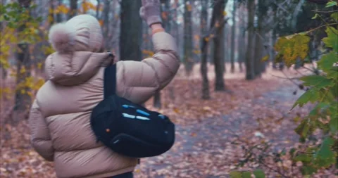 Path Yell Stock Videos – Royalty-Free HD & 4K Videos | Pond5