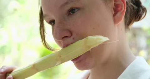 Caned Girl Stock Videos – Royalty-Free HD & 4K Videos