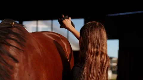 Horses Girl Stock Videos – Royalty-Free HD & 4K Videos
