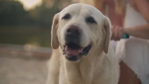 Girls Hair Brushes Stock Videos – Royalty-Free HD & 4K Videos | Pond5