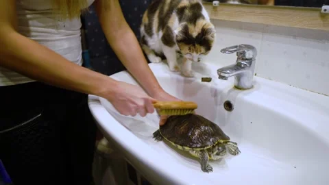 Girl Running Stock Videos – Royalty-Free HD & 4K Videos