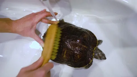 Girl Walking Under Water Stock Footage ~ Royalty Free Stock Videos | Pond5