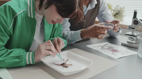Girl Dissecting Frog | Stock Video | Pond5