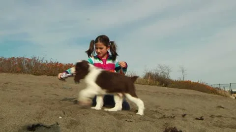 Dog Knotting Girl Stock Video Footage | Royalty Free Dog Knotting Girl ...