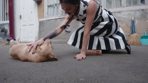 Wednesday Addams Dancing Stock Videos – Royalty-Free HD & 4K Videos | Pond5