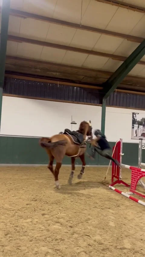 Showjumping Stock Video Footage | Royalty Free Showjumping Videos | Pond5