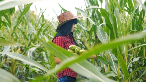 Redneck Girl M Stock Videos – Royalty-Free HD & 4K Videos