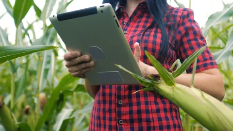 Redneck Girl M Stock Videos – Royalty-Free HD & 4K Videos