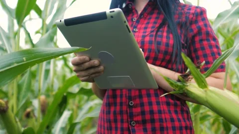 Redneck Girl M Stock Videos – Royalty-Free HD & 4K Videos