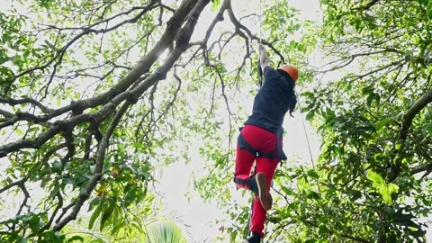 Hanging Climbing Rope Stock Videos – Royalty-Free HD & 4K Videos