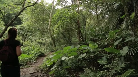 Taiwan Beauty Girl Stock Videos – Royalty-Free HD & 4K Videos