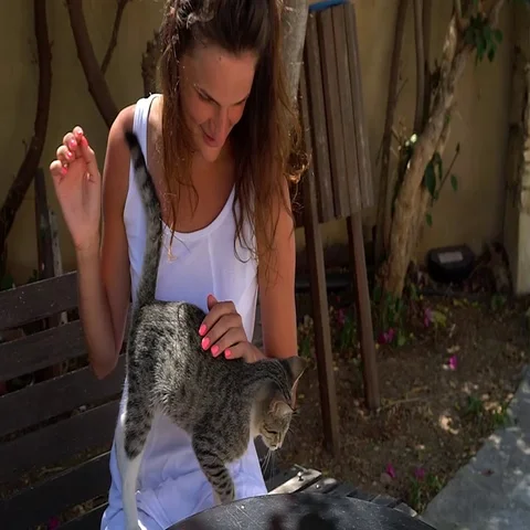 Cute Kitty Girls Stock Videos – Royalty-Free HD & 4K Videos | Page 2