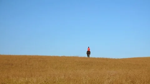 Girl rider riding a horse. Slow motion | Stock Video | Pond5