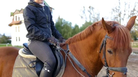 Girl-rider riding on a red horse pats, t... | Stock Video | Pond5