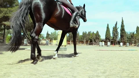 Girl Horse Ride Stock Videos – Royalty-Free HD & 4K Videos | Page 5