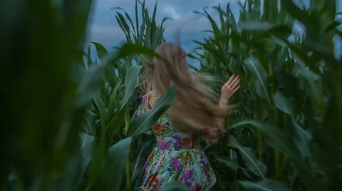 Girl Runs Through a Field of Corn | Stock Video | Pond5