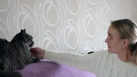 A girl scratches the cat's chin and stro... | Stock Video | Pond5