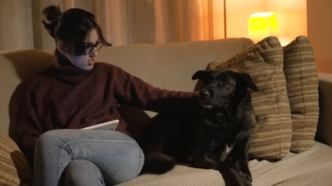 Girl Rimming Dog Stock Footage ~ Royalty Free Stock Videos | Pond5