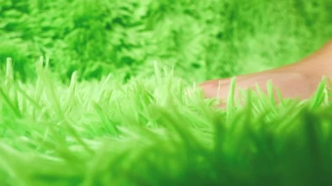 Girls Bedding Green Stock Videos – Royalty-Free HD & 4K Videos