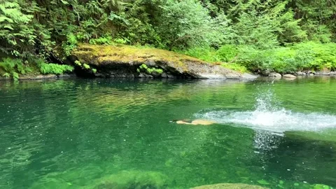 The girl swims in the green cold river l... | Stock Video | Pond5