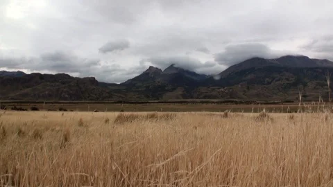 Ocean Animals Pictures Stock Videos – Royalty-Free HD & 4K Videos | Pond5