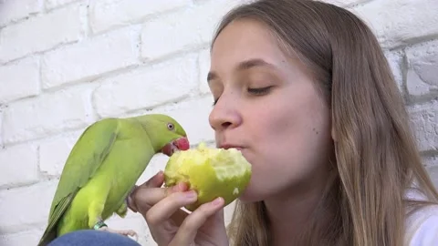 Girl Talk Parrot, Happy Kid Playing her ... | Stock Video | Pond5