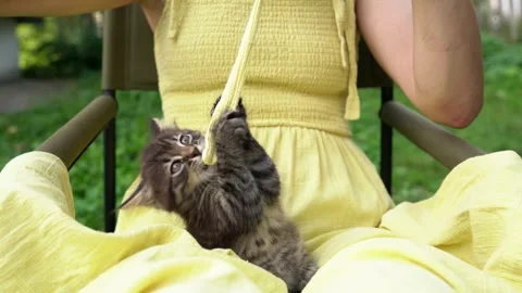 Little Cute Tease Stock Videos – Royalty-Free HD & 4K Videos | Pond5