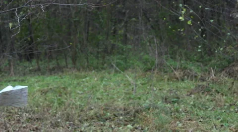 Girl tourist with map looking for a path... | Stock Video | Pond5