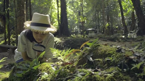 Girl See Stock Videos – Royalty-Free HD & 4K Videos