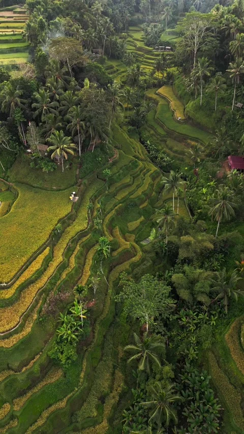 Girls Layers Dress Stock Videos – Royalty-Free HD & 4K Videos | Pond5