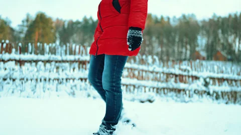 Clipart Snow Flakes Stock Videos – Royalty-Free HD & 4K Videos