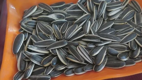 Get The Girls Stock Videos – Royalty-Free HD & 4K Videos | Pond5