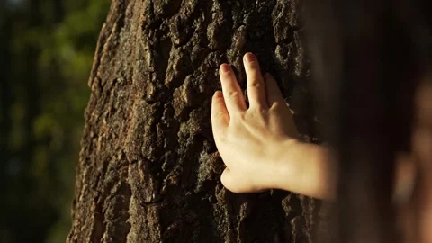 Touch The Girls Stock Videos – Royalty-Free HD & 4K Videos | Pond5