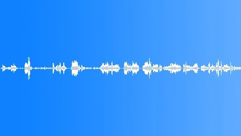 Girls kids playing laughing screaming ~ Stock Sound #69968758