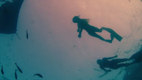 Girls swim with the giant oceanic manta ... | Stock Video | Pond5