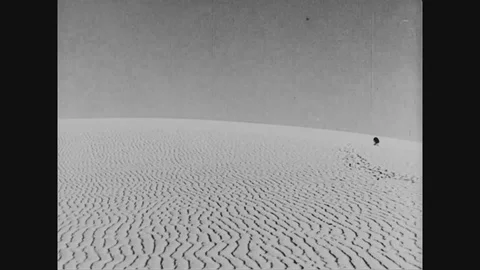 Girls walk in queue on the White Sands d... | Stock Video | Pond5