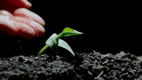 Become The Water Stock Videos – Royalty-Free HD & 4K Videos