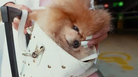 Cute Long Nails Stock Videos – Royalty-Free HD & 4K Videos