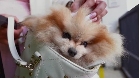 Cute Long Nails Stock Videos – Royalty-Free HD & 4K Videos