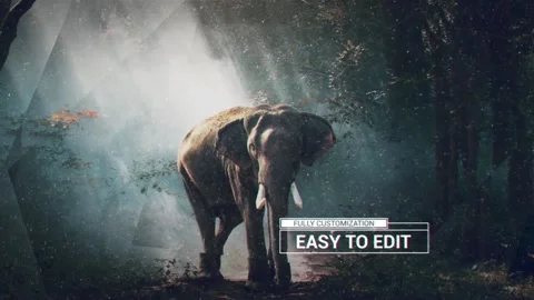 Glass Parallax Slideshow for After Effects ~ After Effects #237065975