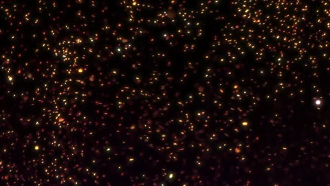 Dust Particles Alpha Stock Video Footage | Royalty Free Dust Particles ...