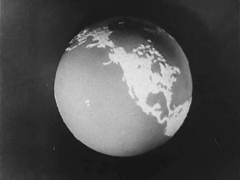 Animated Animal Photos Stock Videos – Royalty-Free HD & 4K Videos